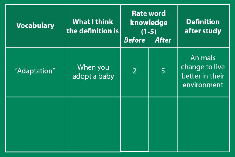Blog: How can teachers help EAL students build vocabulary?