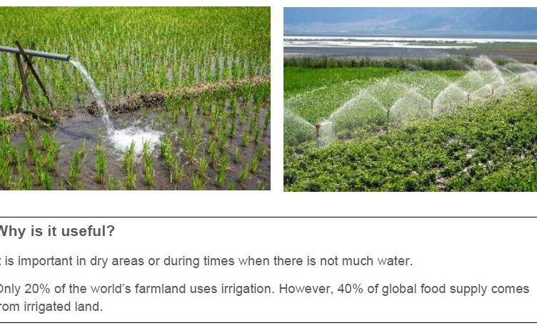 Resources Resources - The Bell Foundation